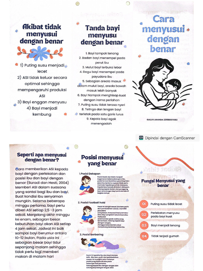 Leaflet & Sap Menyusui Dengan Benar (Galuh Ananda) | PDF