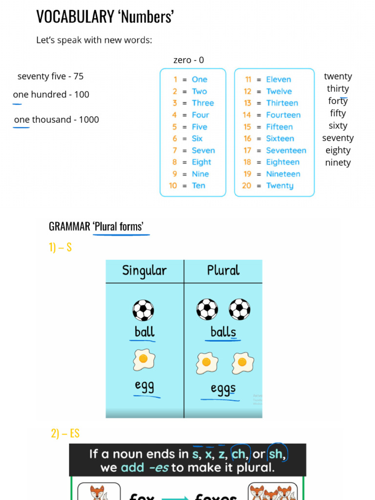 Numbers Plural | PDF