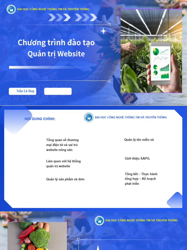 Chương Trình ĐT Qtri Website | PDF