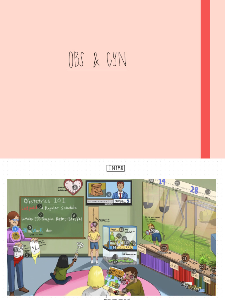 Obstetrics Sketchy Notes | PDF | Fetus | Pregnancy