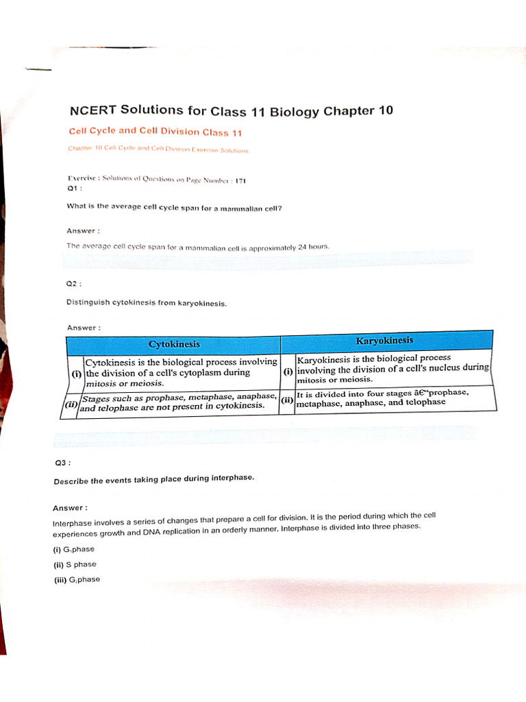 Cell Cycle and Division Que Ans | PDF