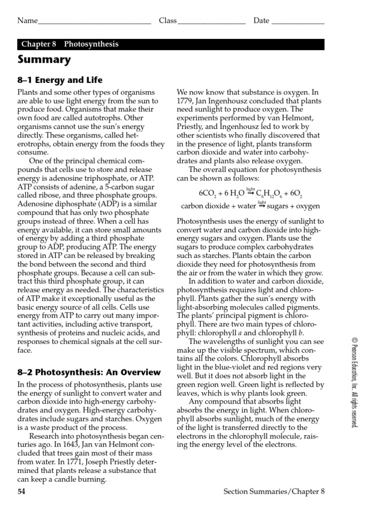 Photosynthesis Work Sheet | PDF | Photosynthesis | Chloroplast