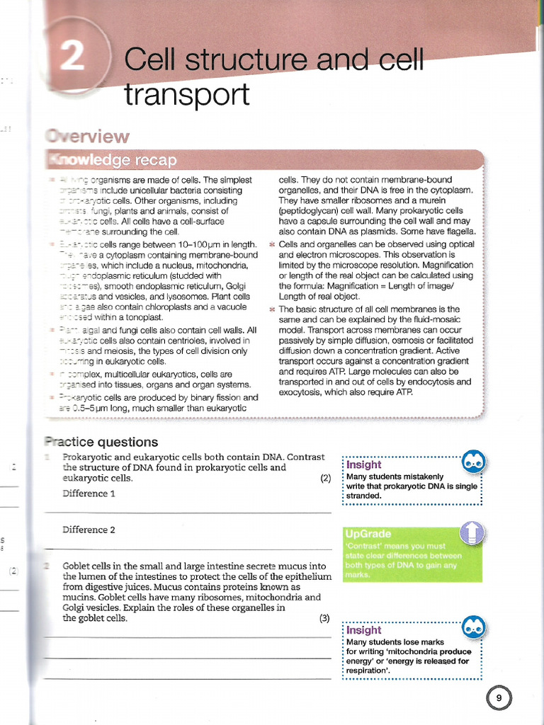 Cell Structure and Transport | PDF