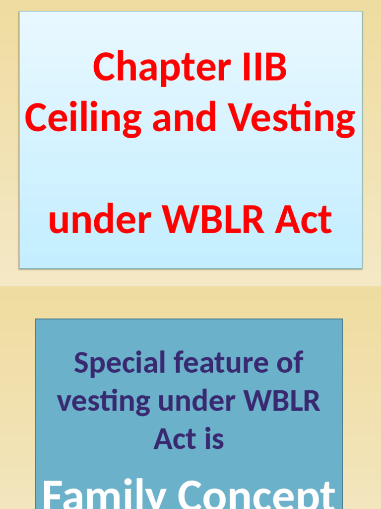Vesting On Chapter IIB | PDF