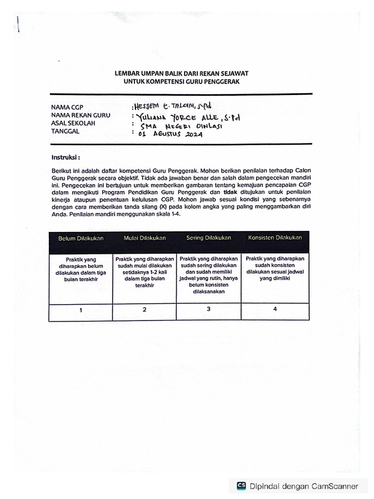 Lembar Umpan Balik Rekan Sejawat PI 2 | PDF