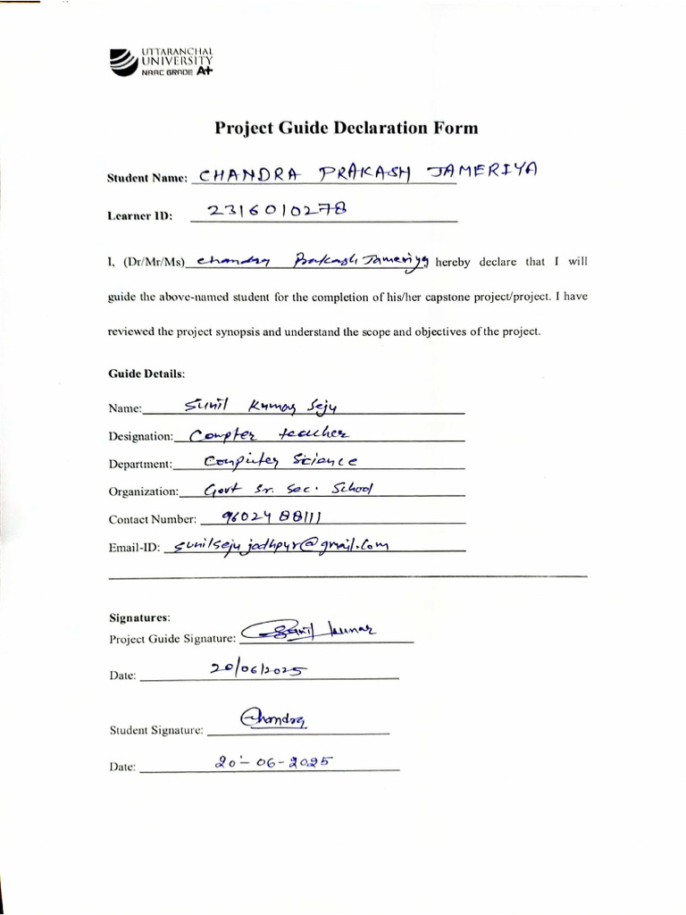 Project Declaration Form | PDF