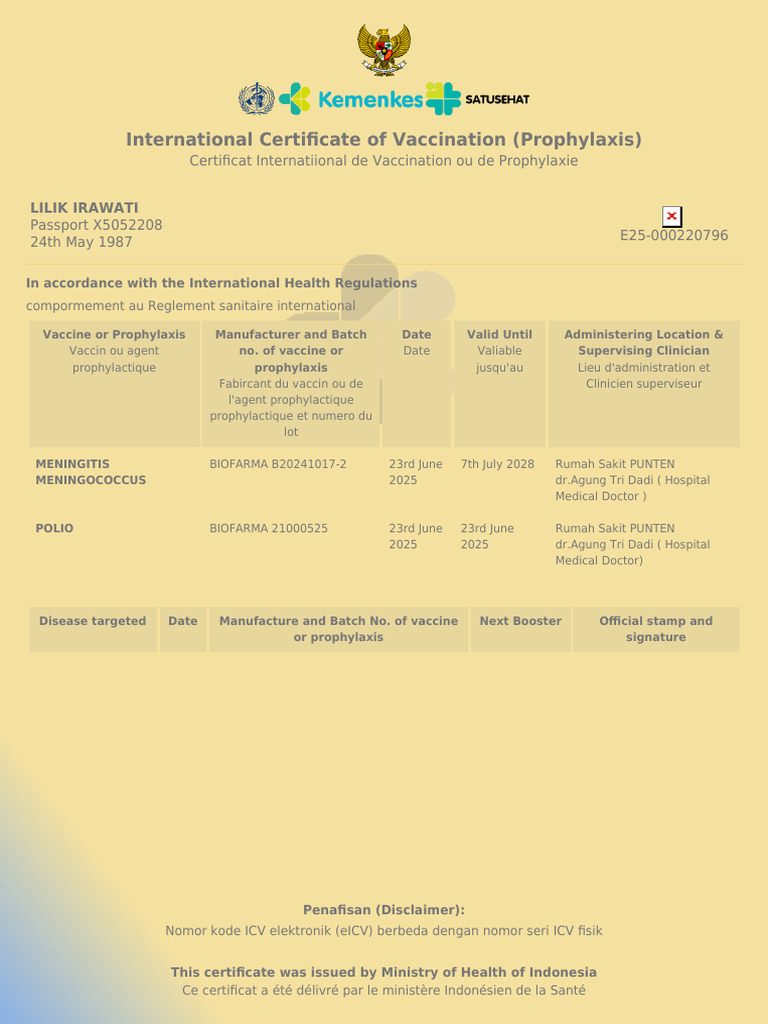 E-Icv Lilik Irawati | PDF