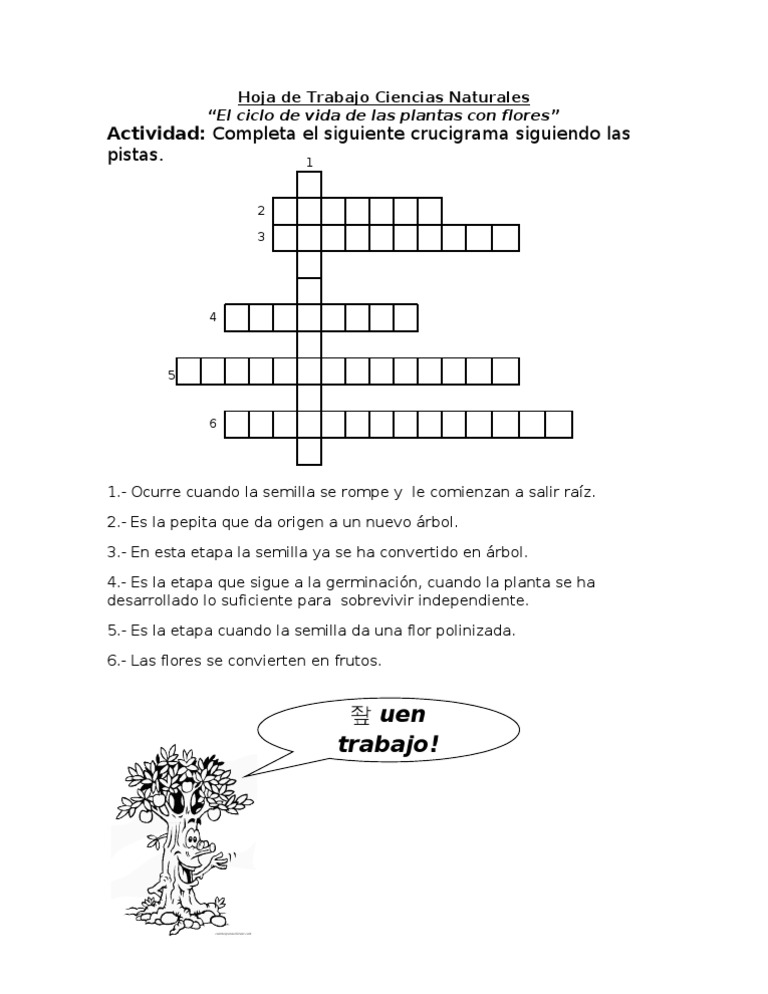 Hoja de Trabajo Ciencias Naturales Ciclo de Vida de Las Plantas | PDF