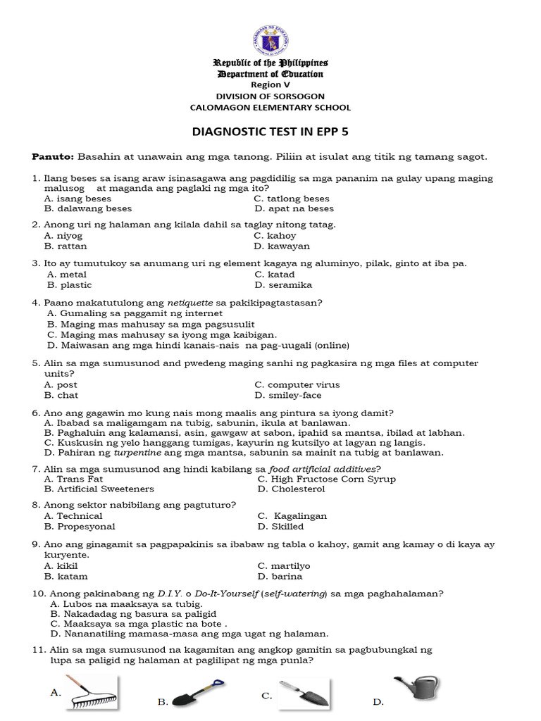 Diagnostic Test - Epp 5 | PDF