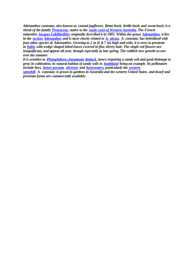 Adenanthos Cuneatus | PDF