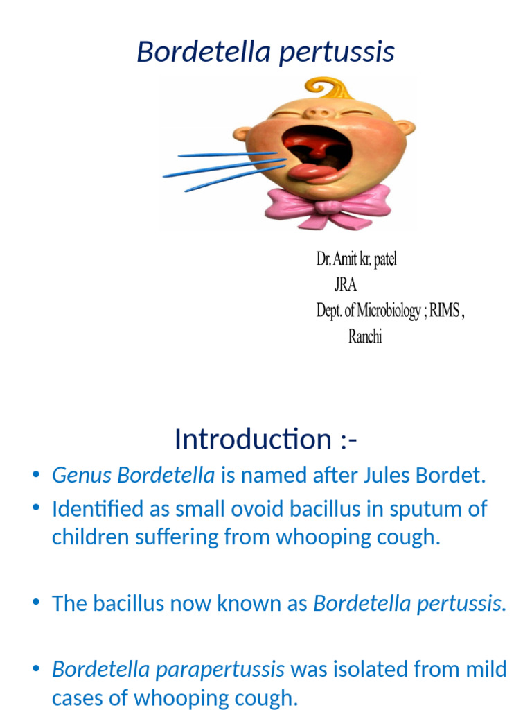 Bordetella Pertussis New | PDF | Lipopolysaccharide | Immunology