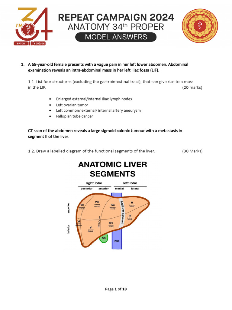 34th Batch Proper Anatomy Paper Model Answers | PDF | Thyroid | Common ...