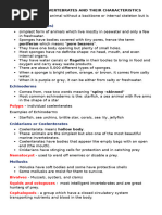 Invertebrates: Classification and Importance | PDF | Invertebrate | Zoology