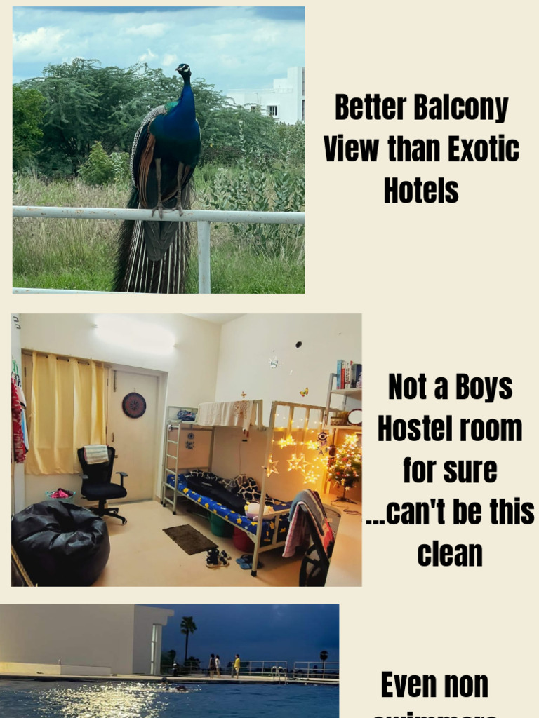 Athena Group4 Ayush 2301169 | PDF