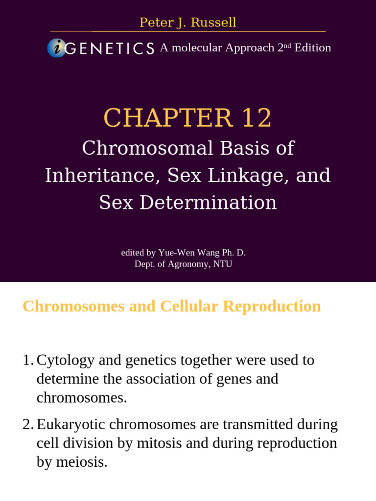 Ch12. Chromosomal Basis of Inheritance, Sex Linkage and Sex Determination | PDF | Meiosis | Mitosis