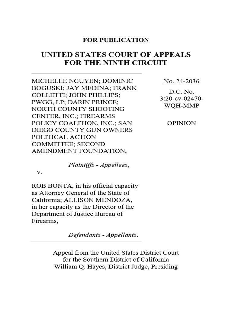 California One-Gun-a-Month Law Unconstitutional | PDF | Second ...