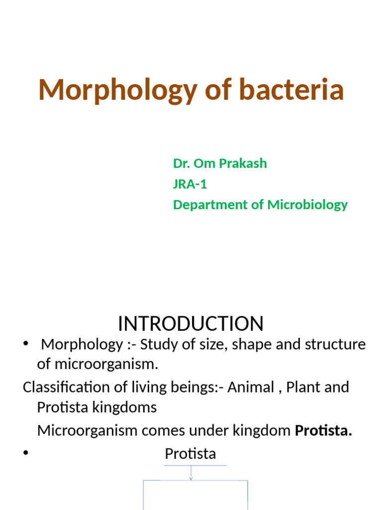 Morphology of Bacteria | PDF | Cell Membrane | Bacteria