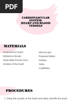 Human Heart Anatomy Overview | PDF | Heart | Heart Valve