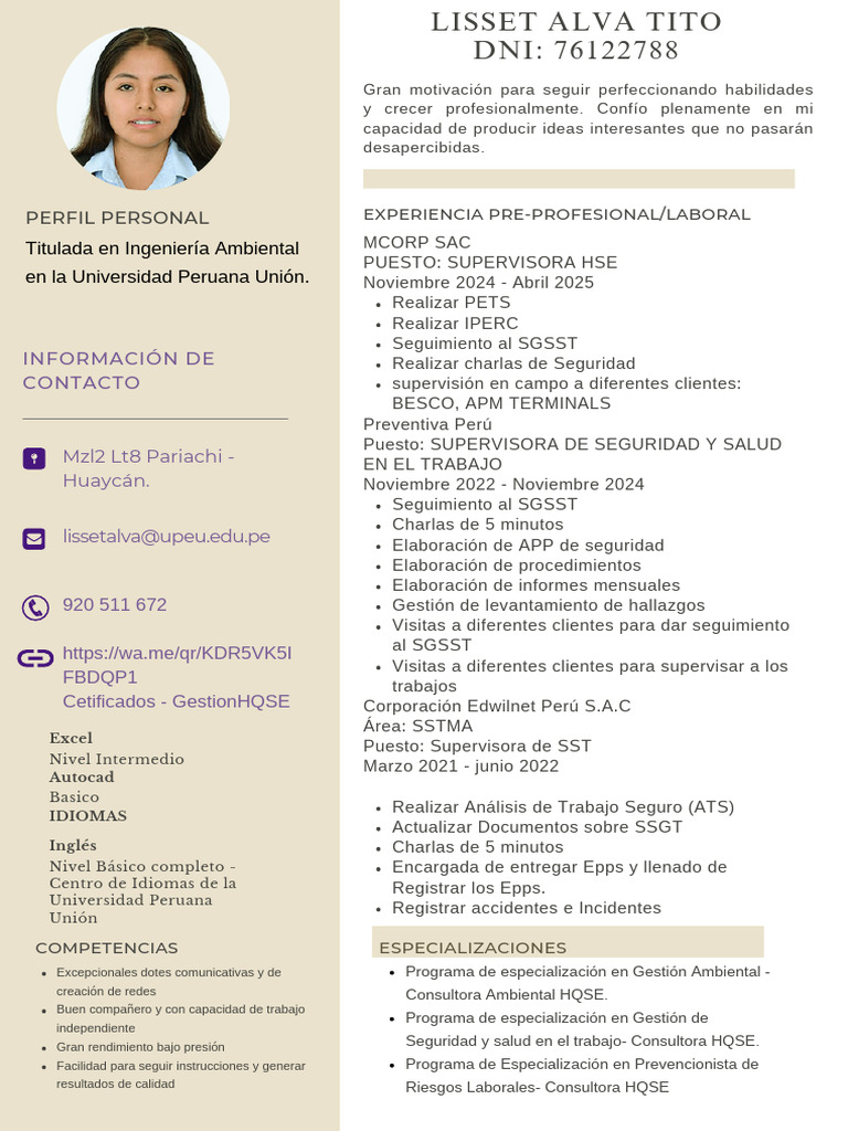 CV - Lisset Alva | PDF