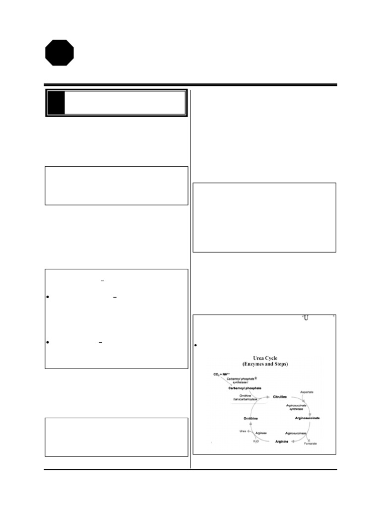 Excretory Products and Their Elimination | PDF | Excretion | Urea