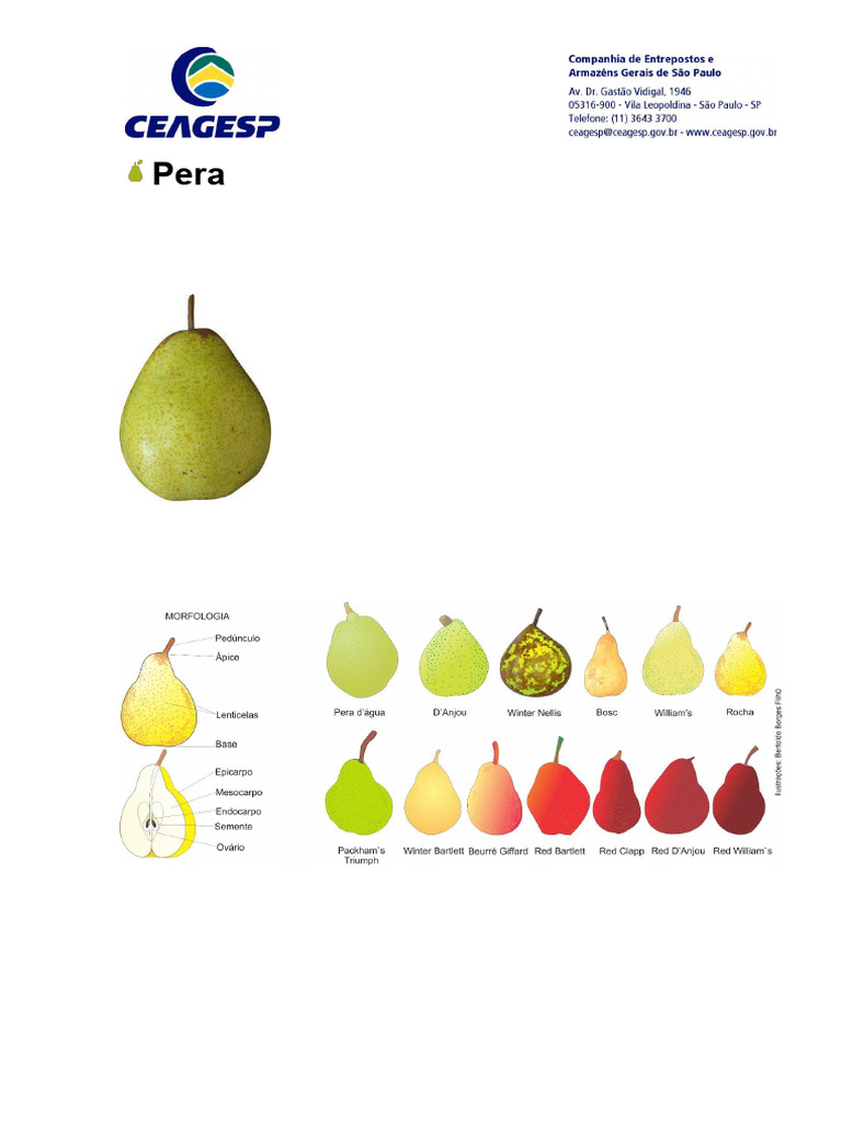 Pera 1 | PDF | Percepção visual | Cor