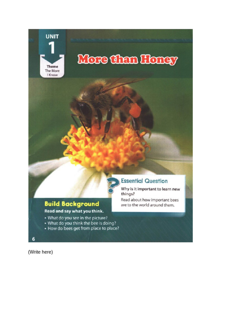 Wonderskills Advanced UNIT 1-2 | PDF