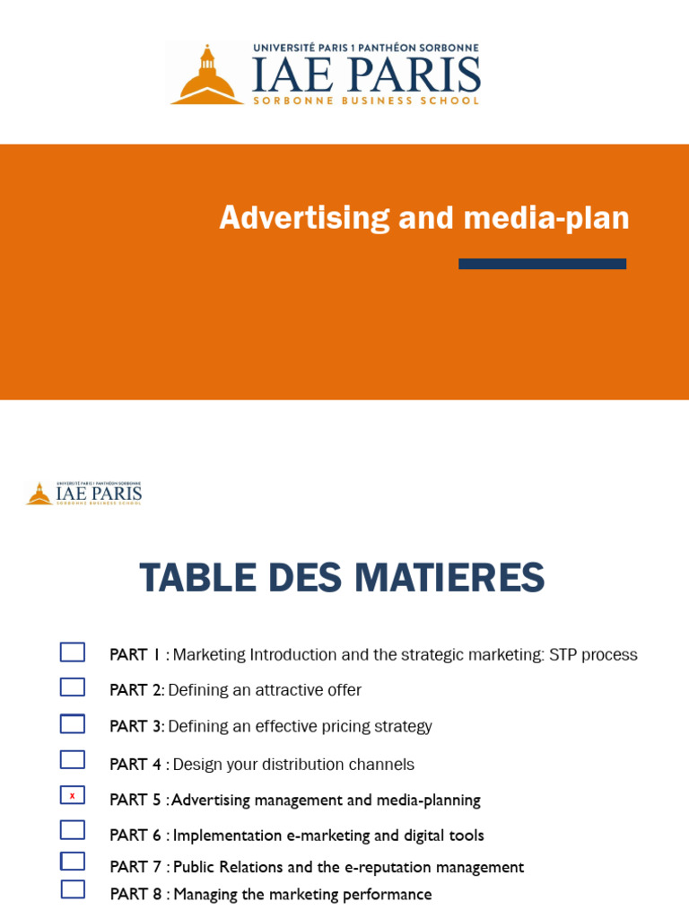 Advertising and Media-Plan | PDF | Marketing | Advertising