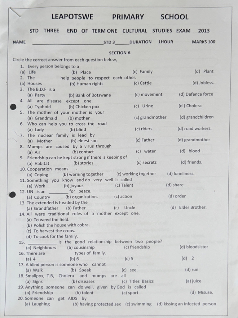 Cultural Studies REVISION MATERIALS | PDF