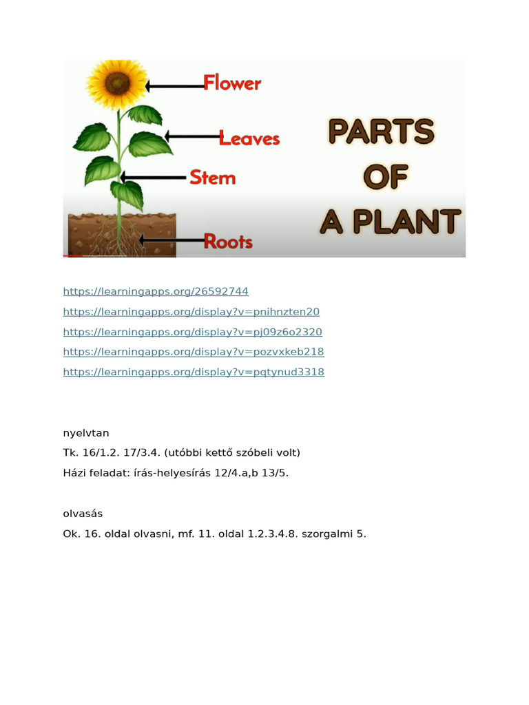 Parts of Flowers | PDF