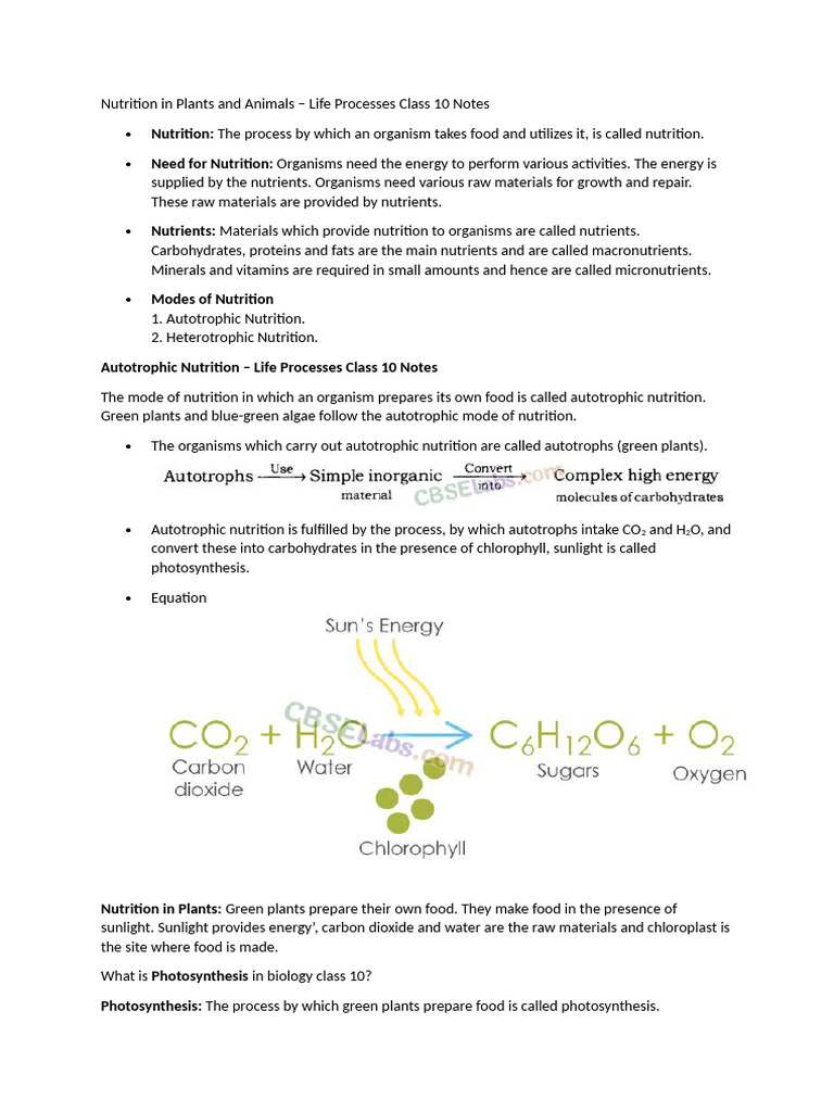 Nutrition in Plants and Animals-2 | PDF | Nutrition | Diet & Nutrition