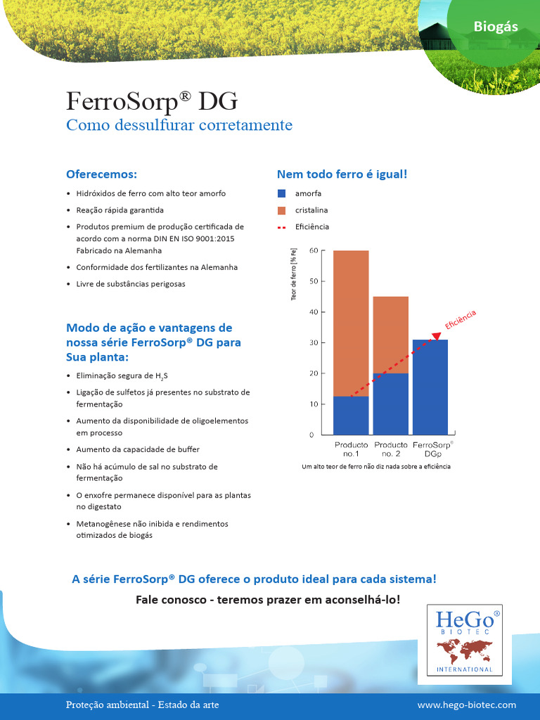 HBI PB Ferrosorp DG - PT | PDF | Ferro | Química
