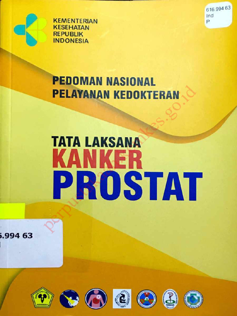 Pedoman Nasional Pelayanan Kedokteran Tata Laksana Kanker Prostat | PDF