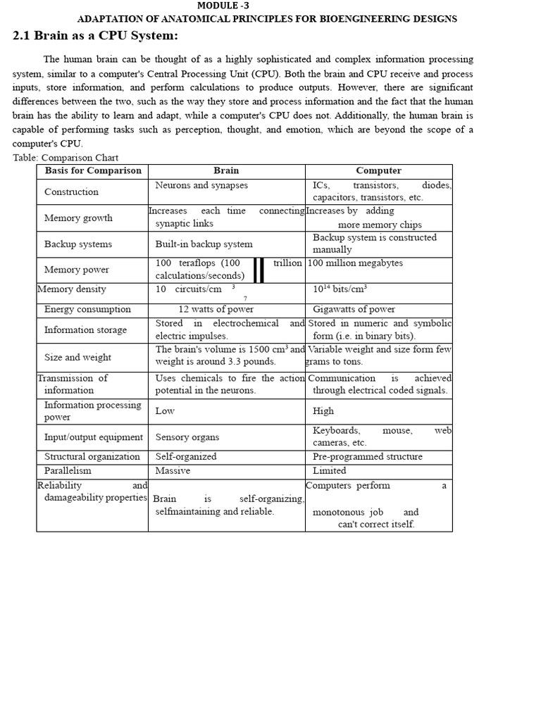 Cs Ise Notes Module 3 | PDF | Respiratory Tract | Electroencephalography