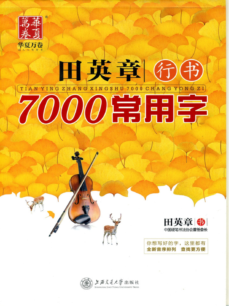 Chinese Character BOOK Writing Practice | PDF