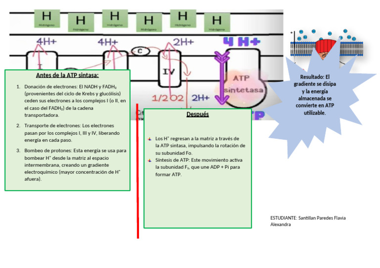 Santillan Paredes Flavia Alexandra | PDF