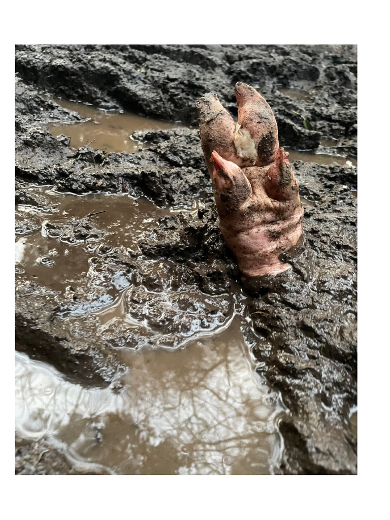 Final Reference Photos | PDF