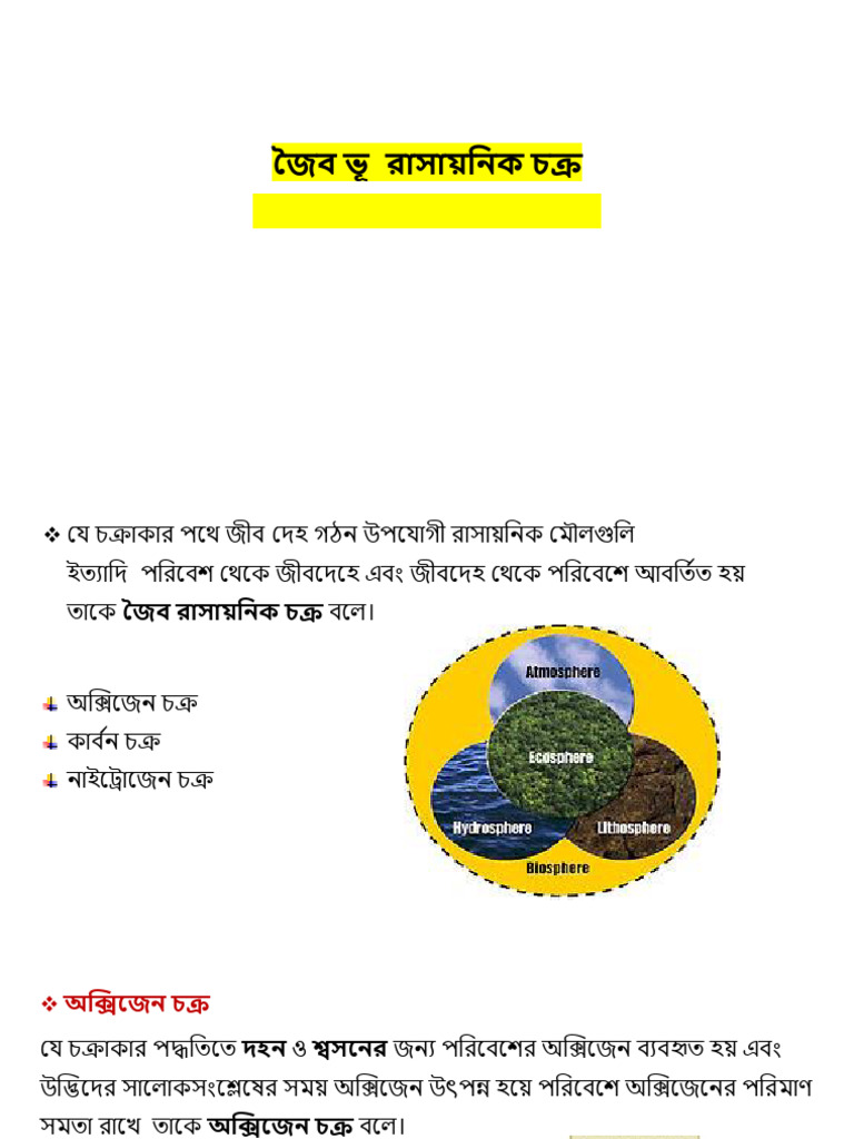 Class 5 Bio Geo Chemical Cycle | PDF