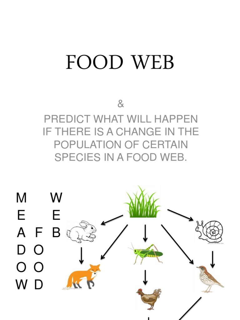 Food Web: & Predict What Will Happen If There Is A Change in The ...