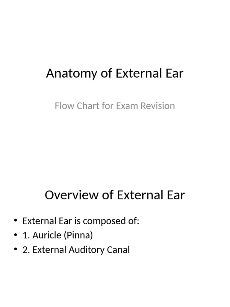 External Ear Anatomy Flowchart | PDF