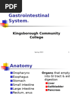 Medical.s GIT | PDF | Esophagus | Stomach