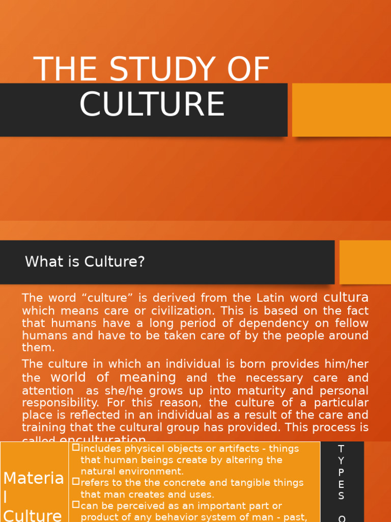 Culture and Social Interaction | PDF | Society | Liberal Arts Education
