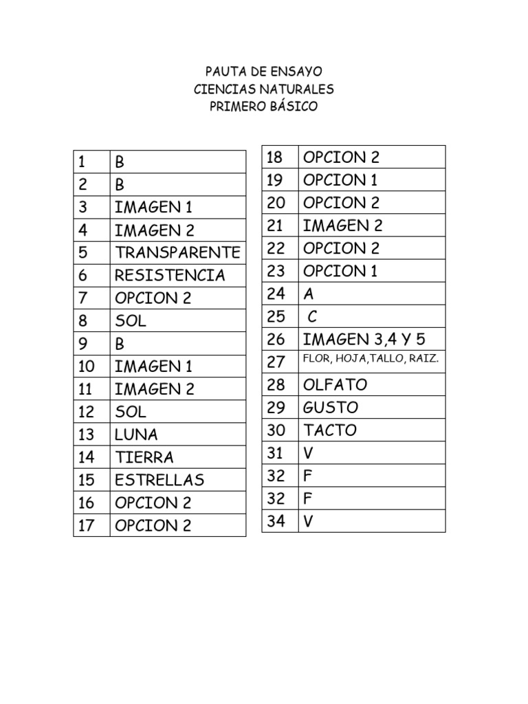 Pauta de Ensayo | PDF