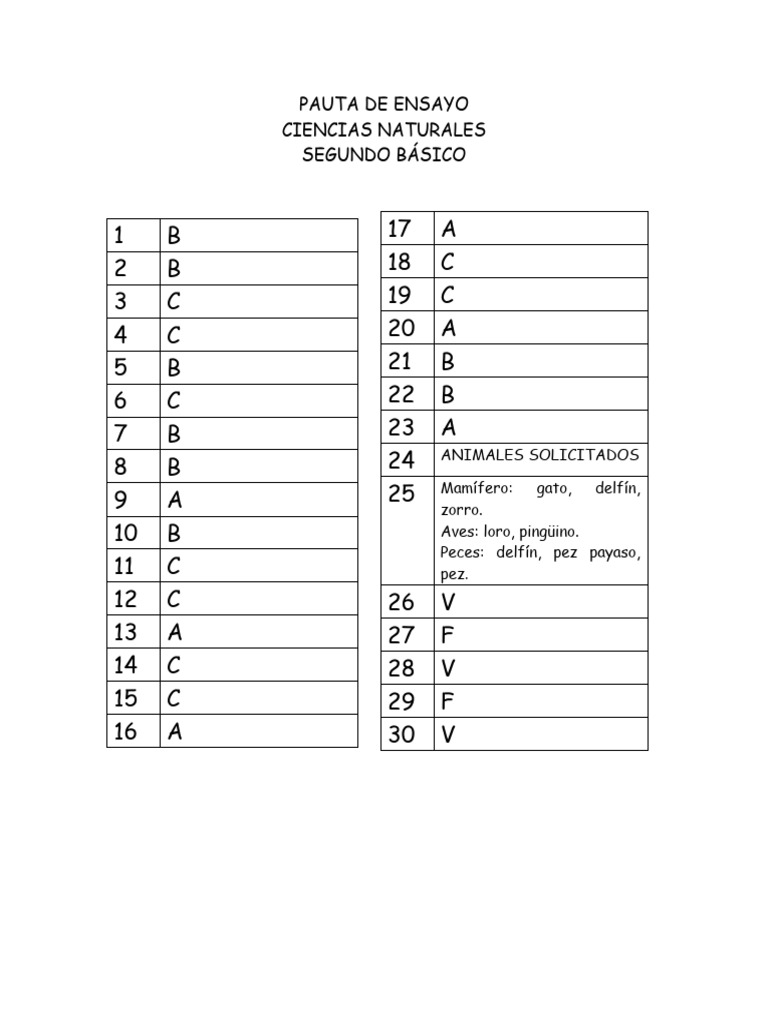 Pauta de Ensayo | PDF