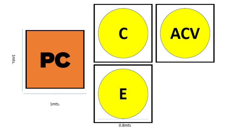 Banderas Puesto de Comando | PDF