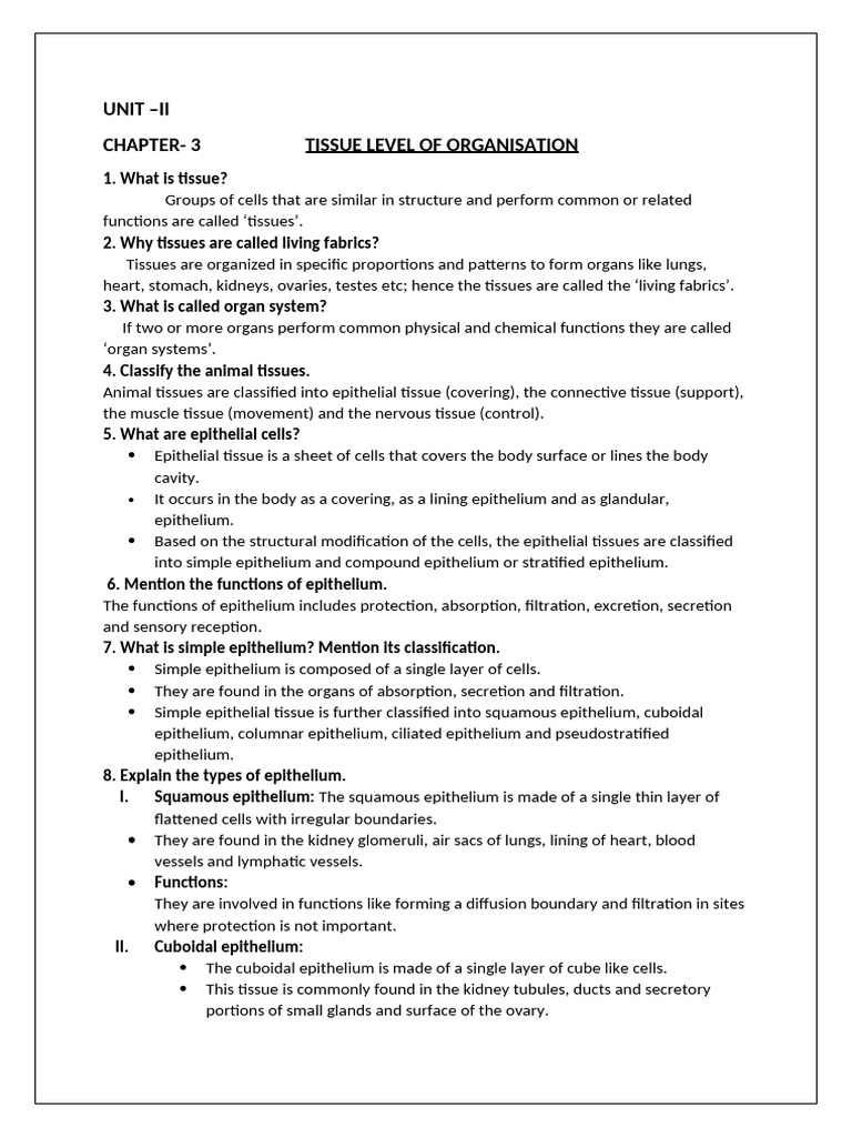 Types of Animal Tissue Explained | PDF | Epithelium | Connective Tissue