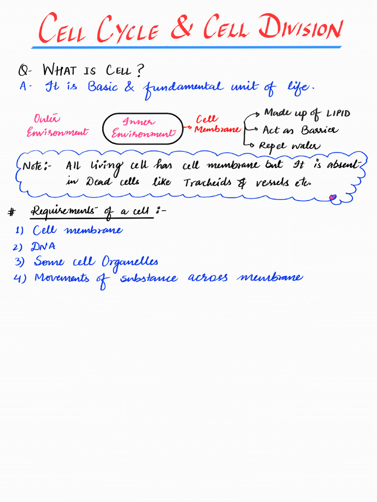Cell Cycle Sample 2 | PDF