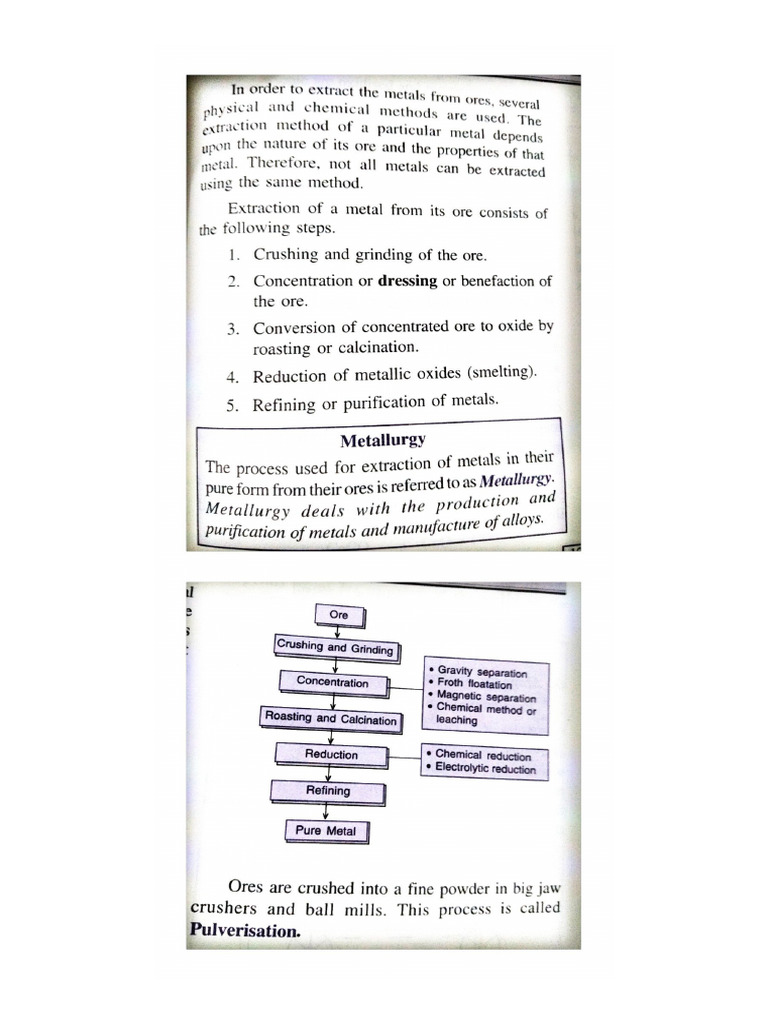 25 Pavneet Kaur 10D | PDF