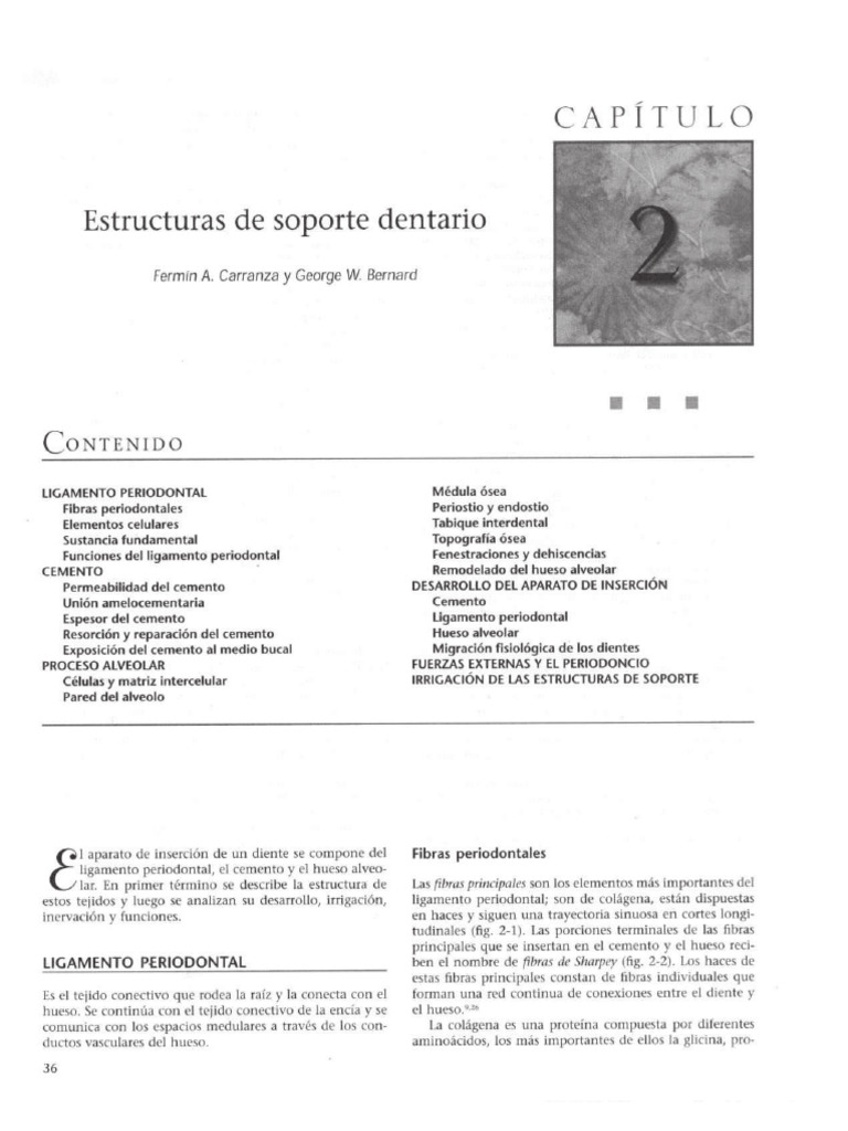 Carranza Periodonto de Insersion | PDF
