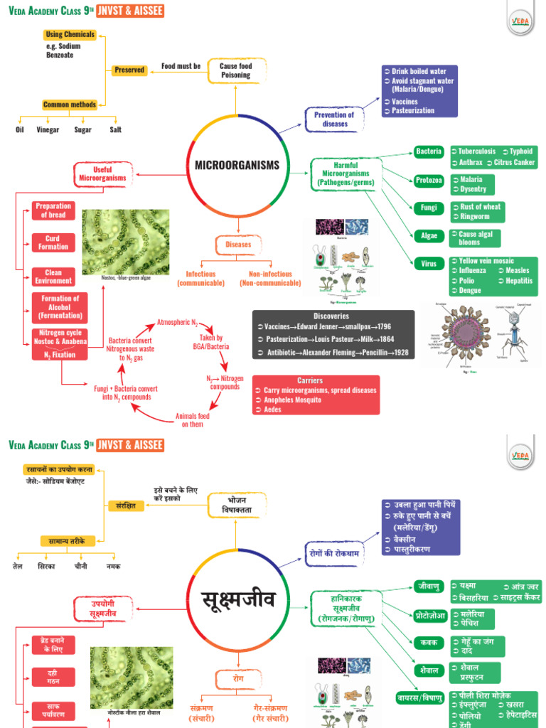 Microorganisms - Mindmap | PDF
