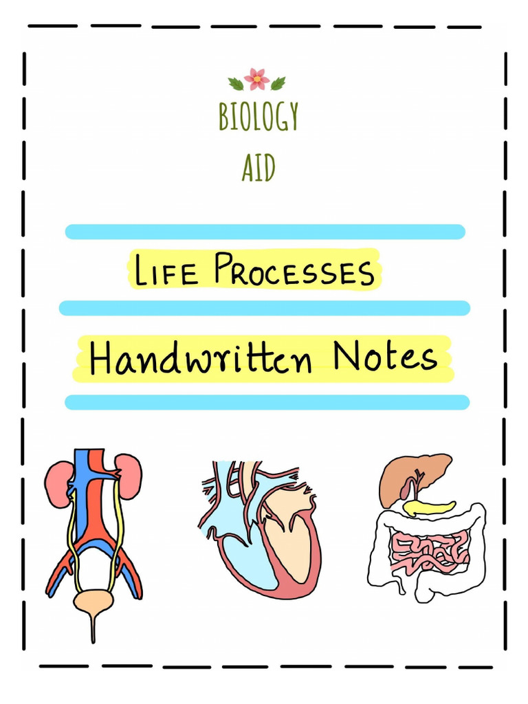 CH 6 Life Processes Notes | PDF